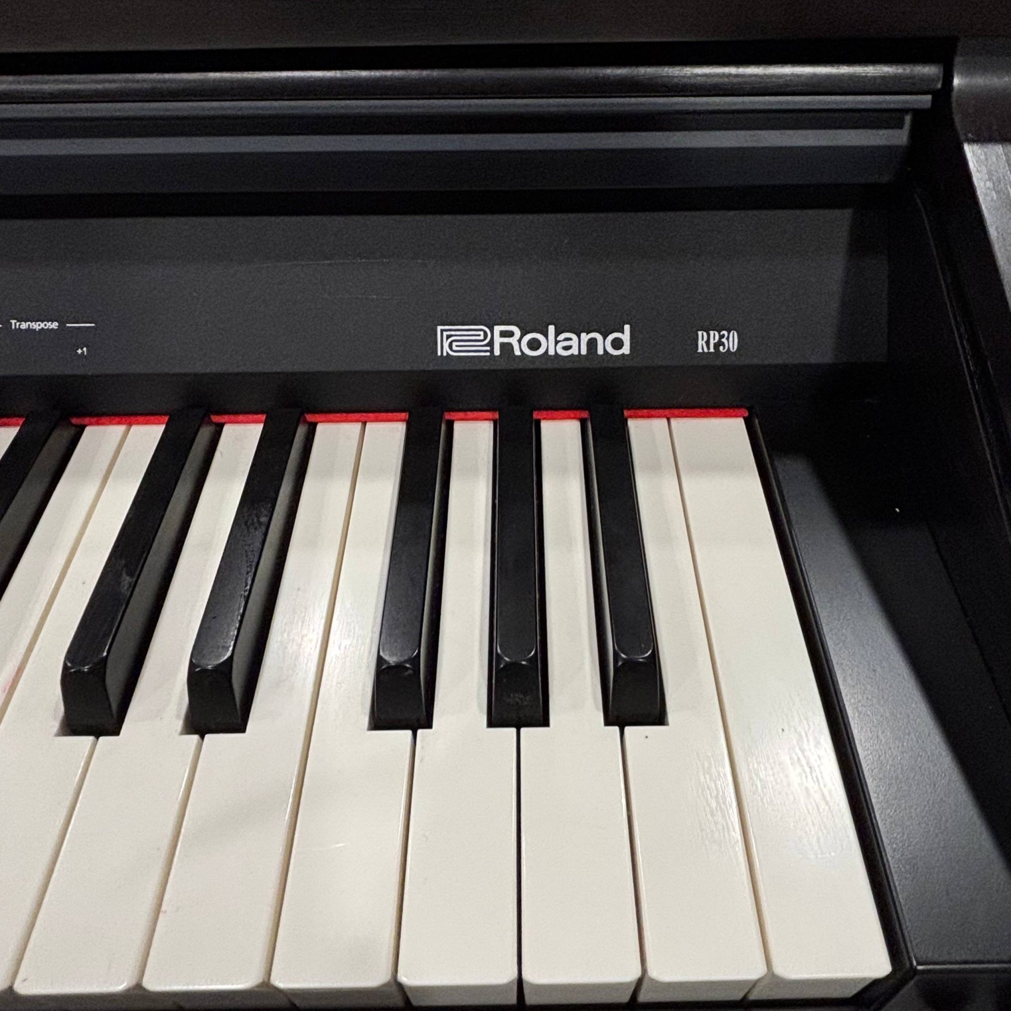 پیانو دیجیتال کارکرده رولند ROLAND RP30 - پیانو طنین